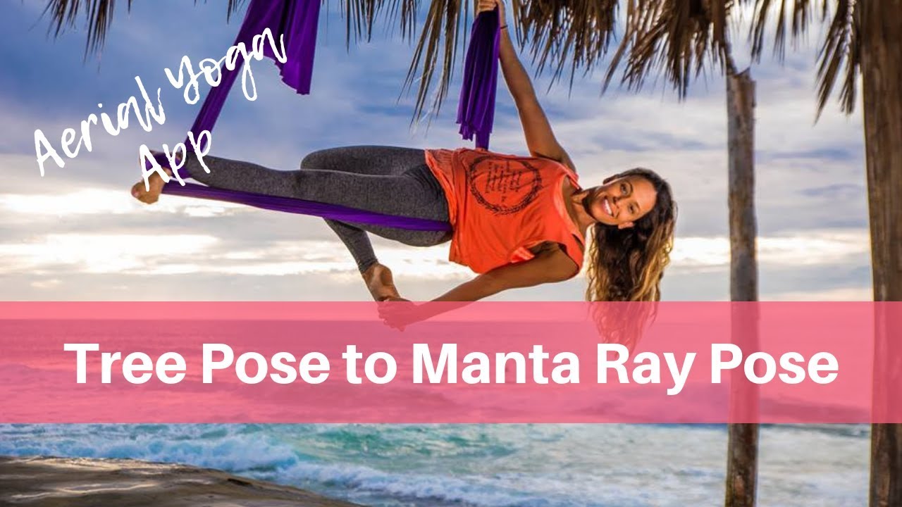 Aerial Yoga Advanced Pose: Tree Pose to Manta Ray - YouTube
