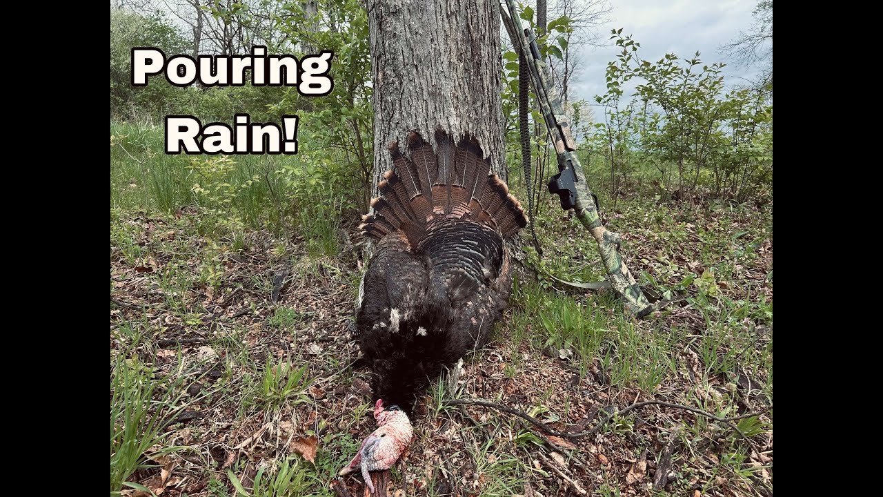 Turkey Hunting in The POURING RAIN! (Ohio Spring Turkey 2025) - YouTube