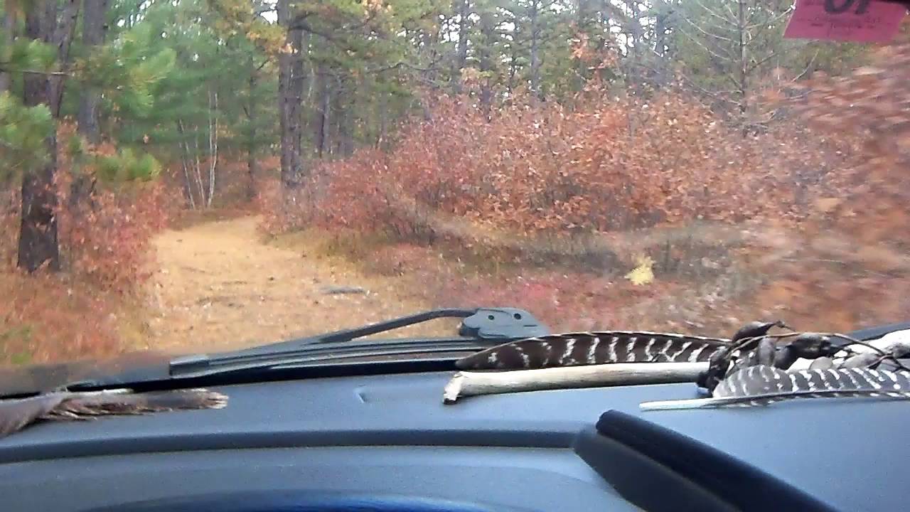 "Snake Rd." Class 6 Road Ossipee Pine Barrens NH - YouTube