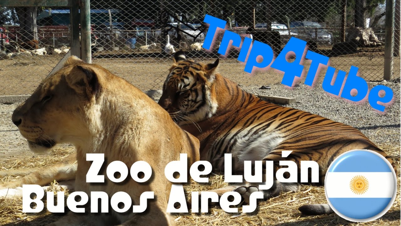 Zoológico de Luján - Buenos Aires (Argentina) - YouTube