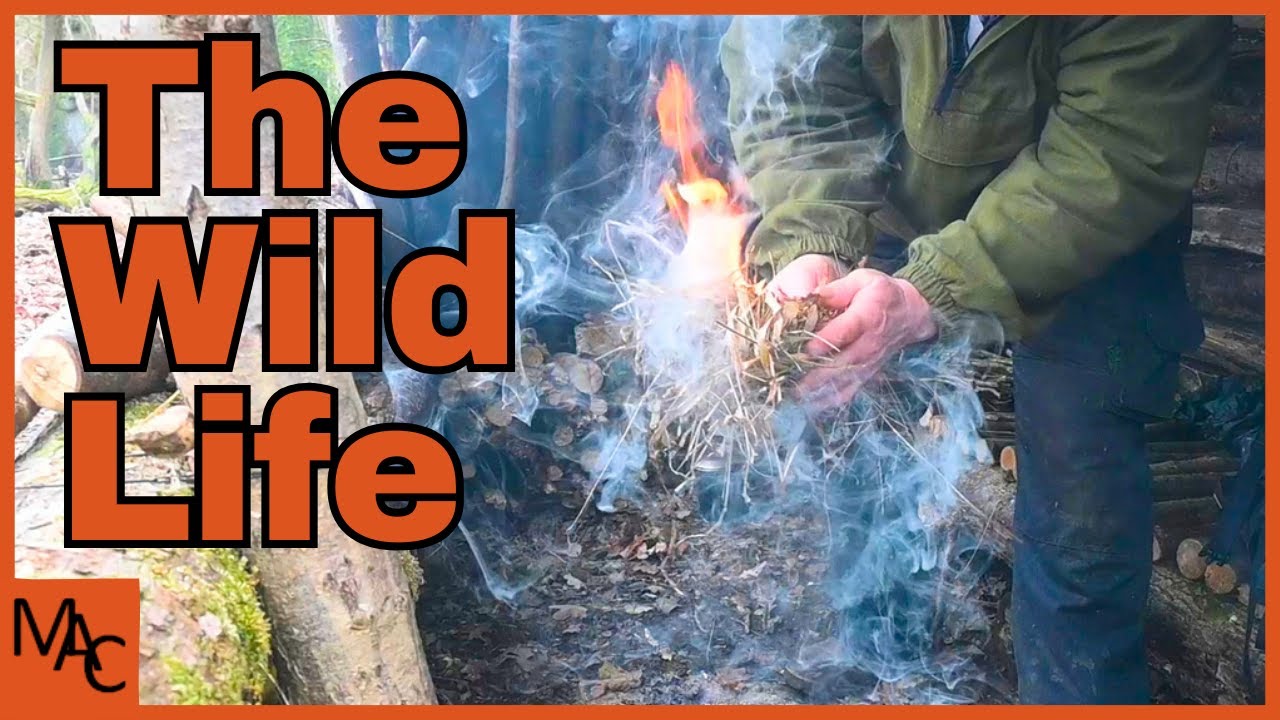 Primitive Fire Lighting, Carving and Debris Shelters - YouTube