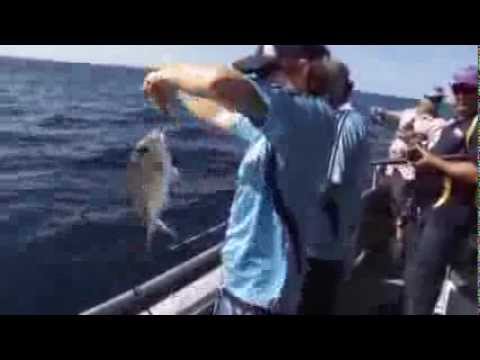 Fishing the Dream - Season 1 Episode 3 - Deep Sea with Big Cat Charters ...