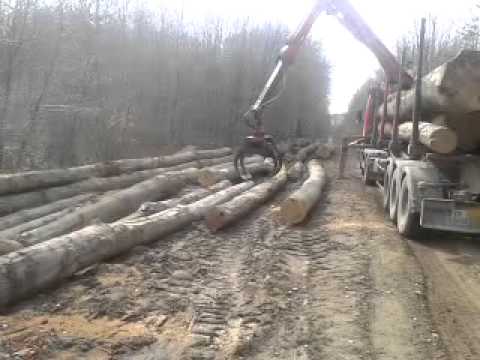 Grumier Bardet - YouTube