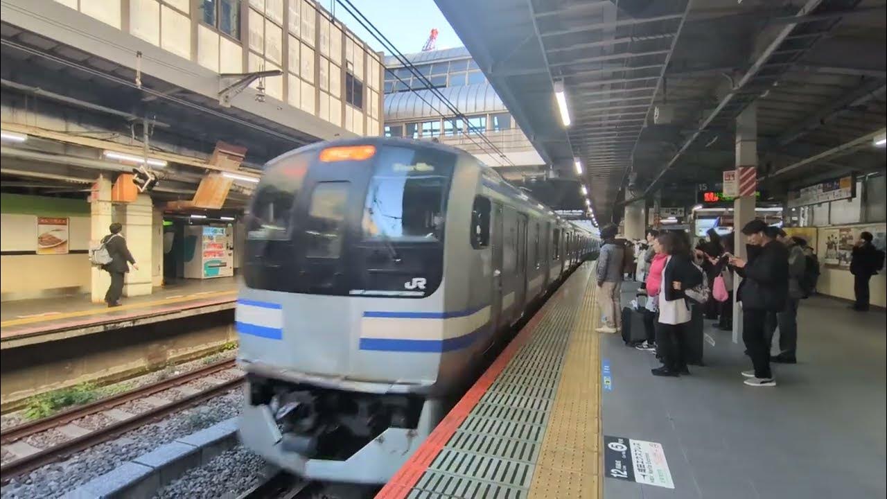 E217系Y-129編成＋Y-33編成 普通 久里浜行き 品川到着 - YouTube