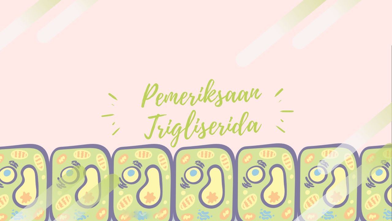 Pemeriksaan Trigliserida Darah - YouTube