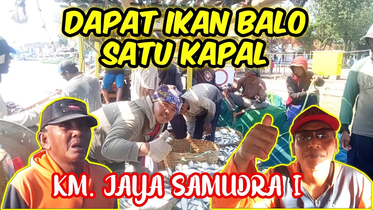 NELAYAN PASURUAN - DAPAT IKAN BALO SATU KAPAL - JAYA SAMUDRA - YouTube