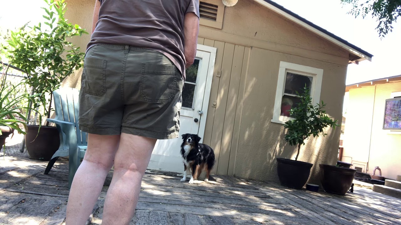 High hide level 1 - YouTube