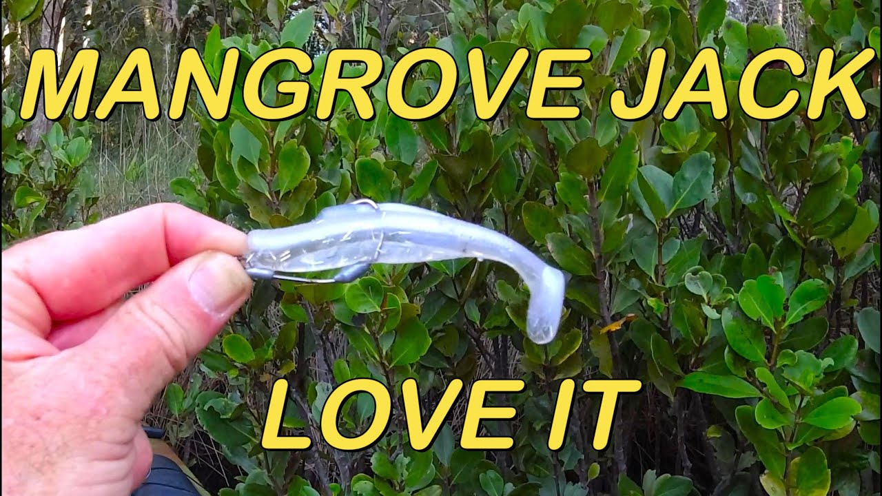 MANGROVE JACK Can't Resist THIS LURE! - YouTube