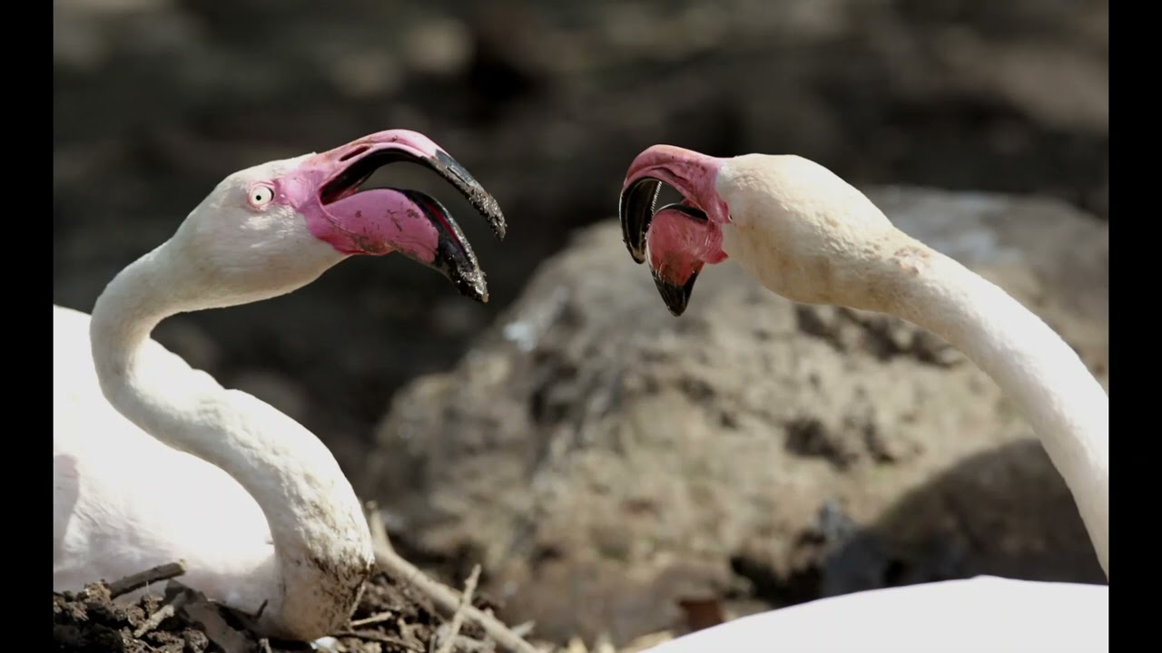 The way you look to night (cover) - YouTube