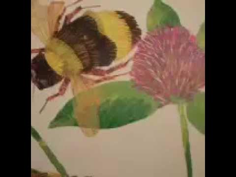 The Very Quiet Cricket by Eric Carle - YouTube