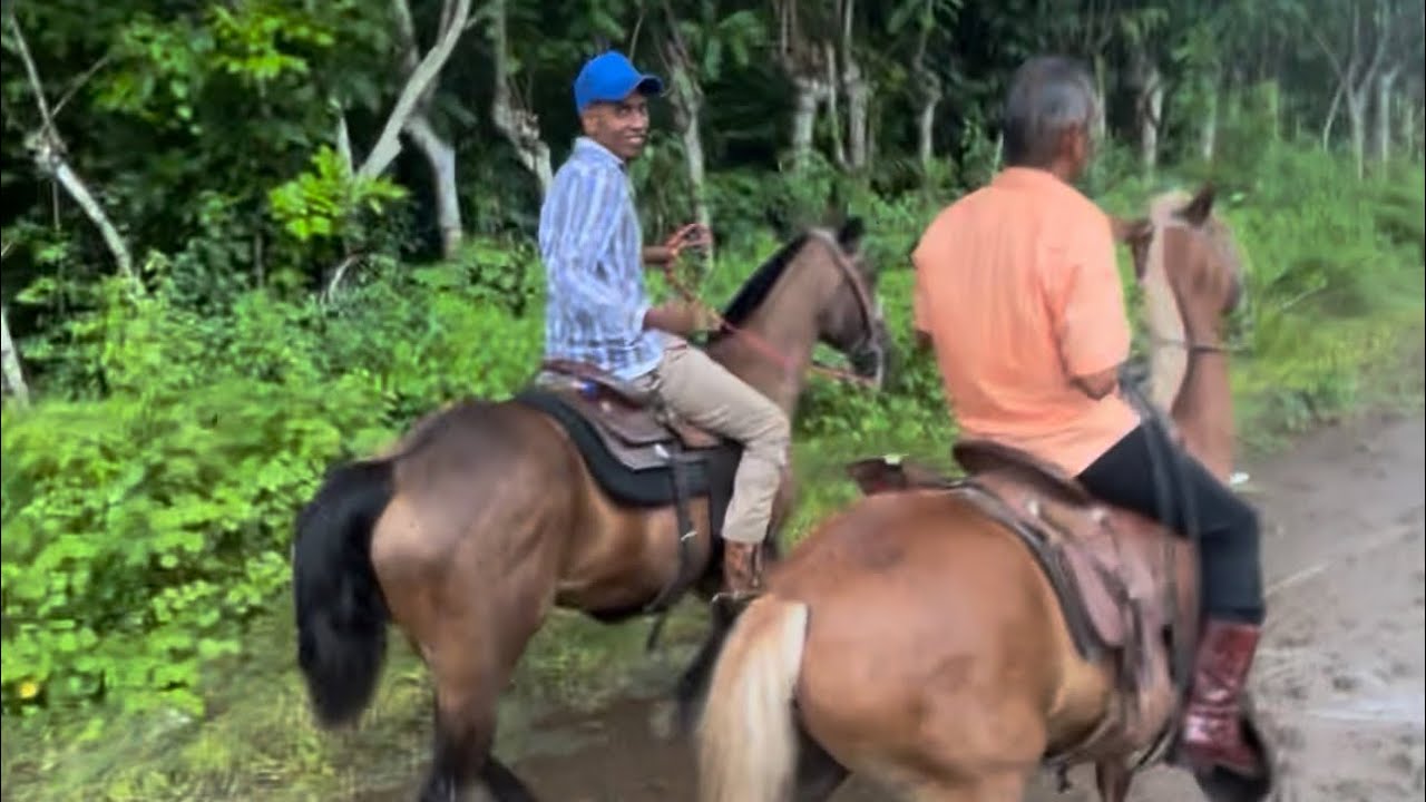 Horseback riding in the Dominican Republic 🇩🇴 , long trip🏇 ...