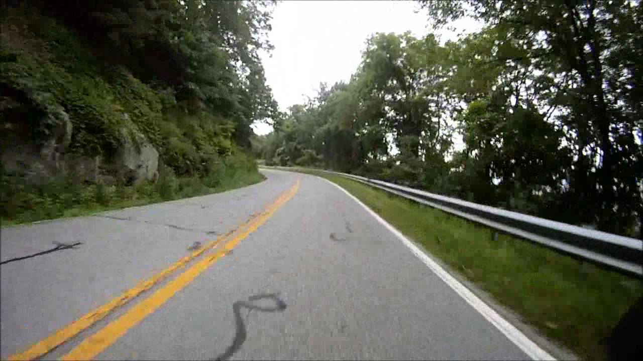 TAR SNAKES OF GEORGIA - YouTube