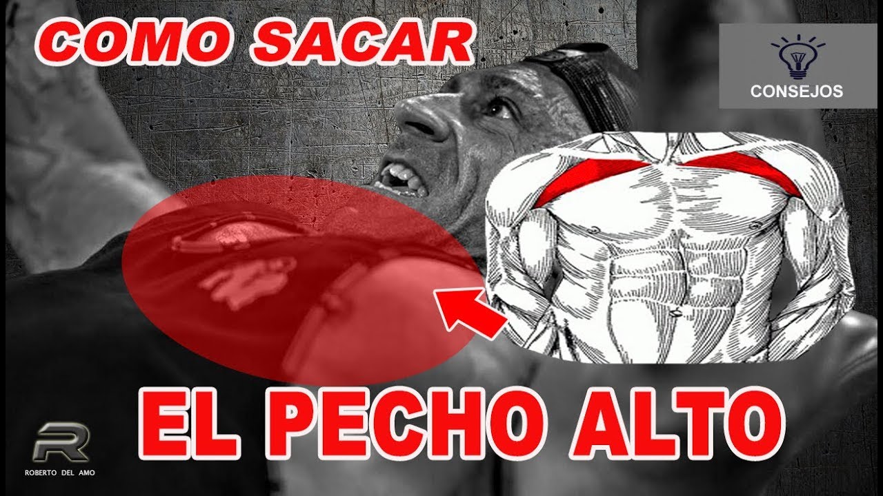 COMO SACAR EL PECHO ALTO - YouTube