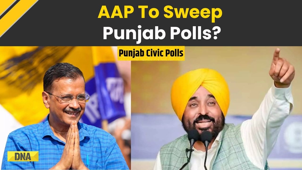 Punjab News: AAP Leads Punjab Civic Body Polls, Nears 800 Wards Across ...