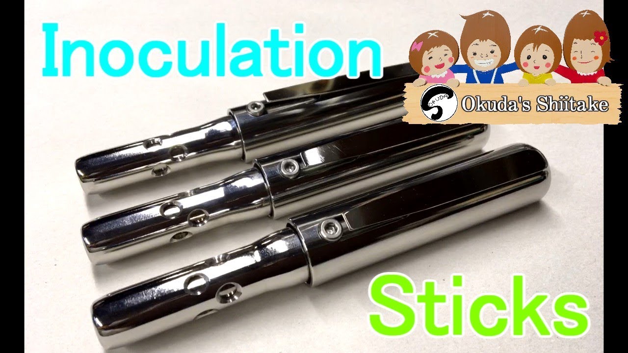 【Okuda's Shiitake】Inoculation Sticks - The Simplest Inoculator - YouTube