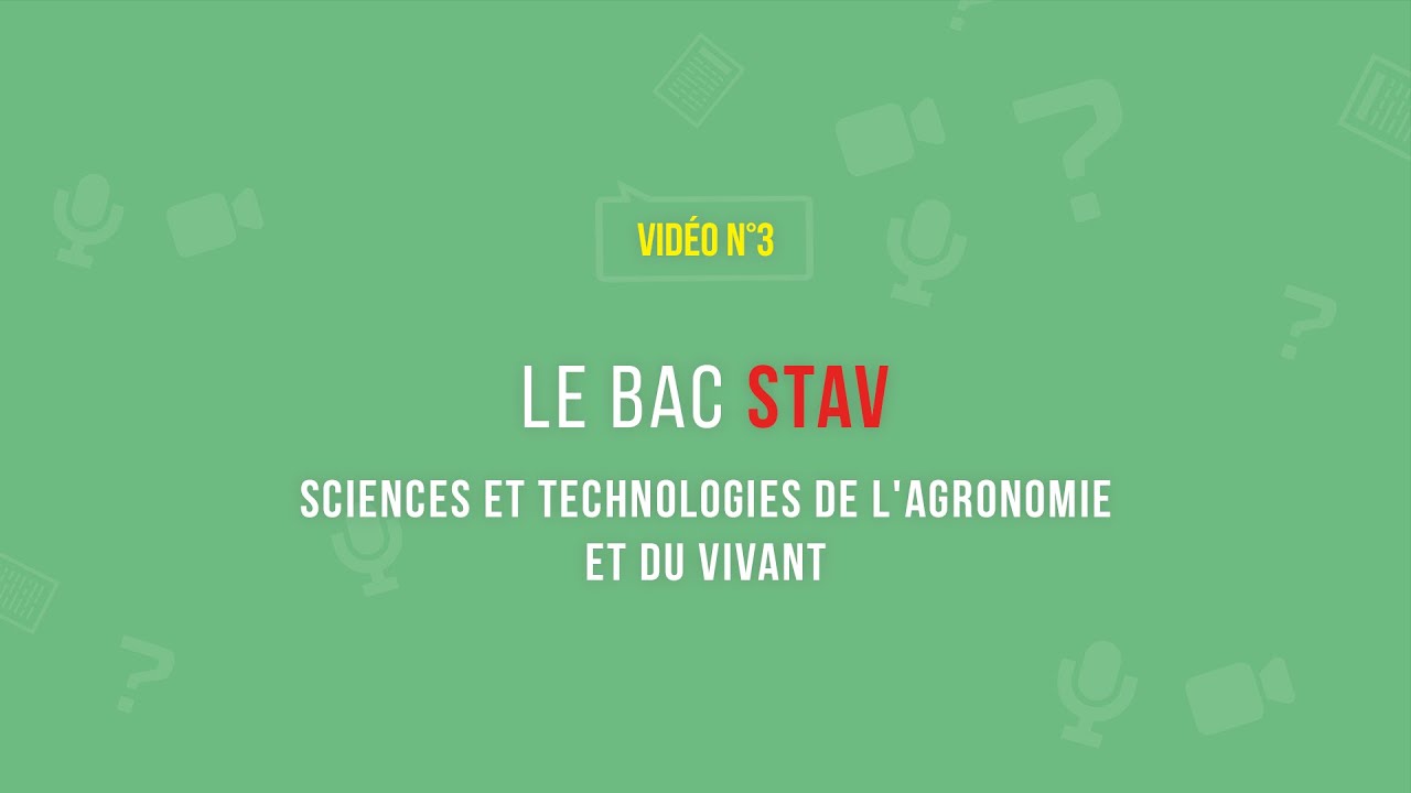 Extrait n°3/8 - BAC STAV - À la découverte de la voie technologique - FR (2022) - YouTube