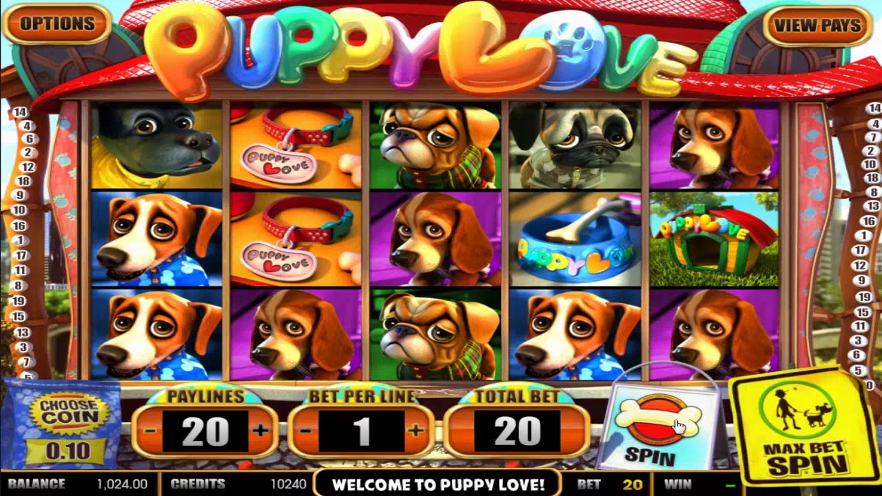 BetSoft - Puppy Love Plus - Gameplay Demo - YouTube
