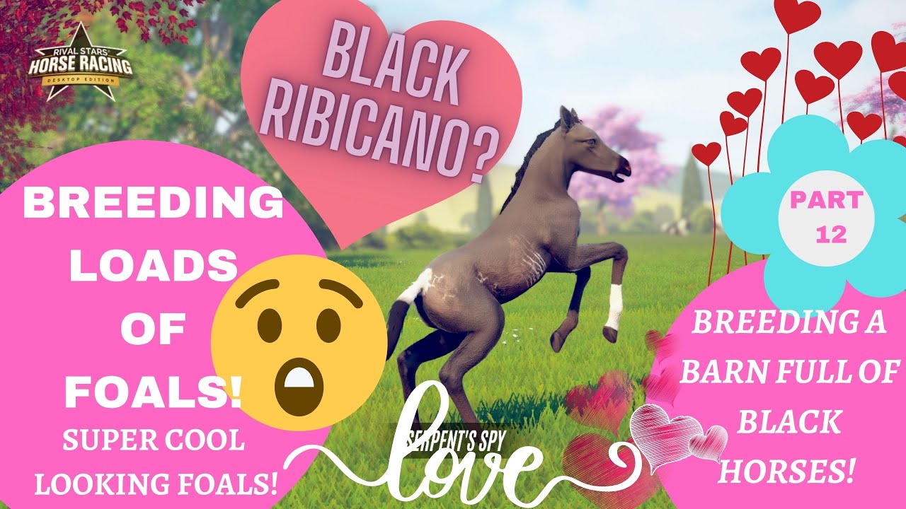 BLACK Rabicano foal?! Breeding a barn full of black horses! Rival Stars ...
