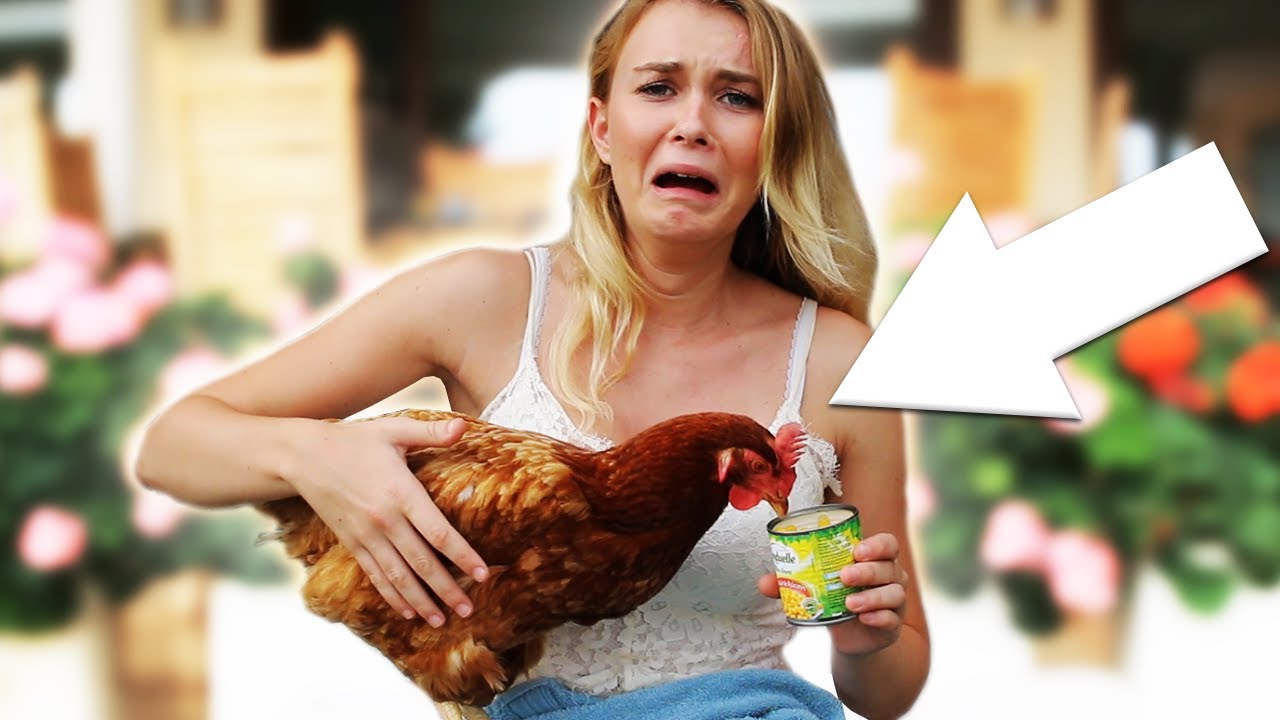 MY CHICKEN ANSWERS YOUR QUESTION! - YouTube