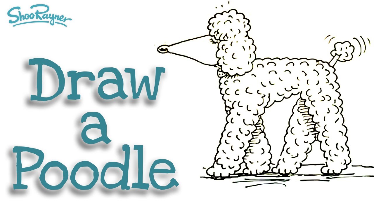 How to draw a poodle - Shoo Rayner Drawing School - YouTube