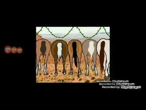 farting horses 3