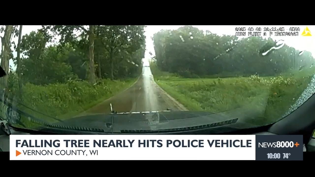 Falling tree nearly hits police vehicle - YouTube