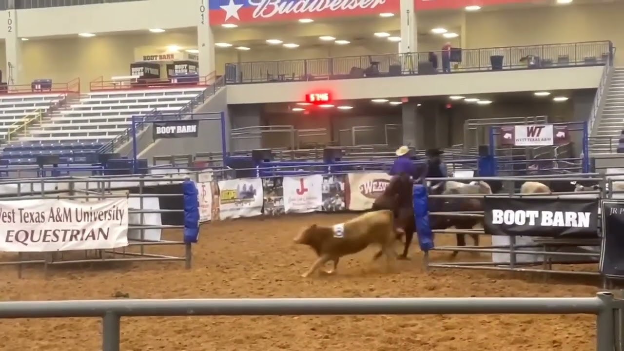 CR Dualin Boon - 2018 Sorrel AQHA Gelding - YouTube