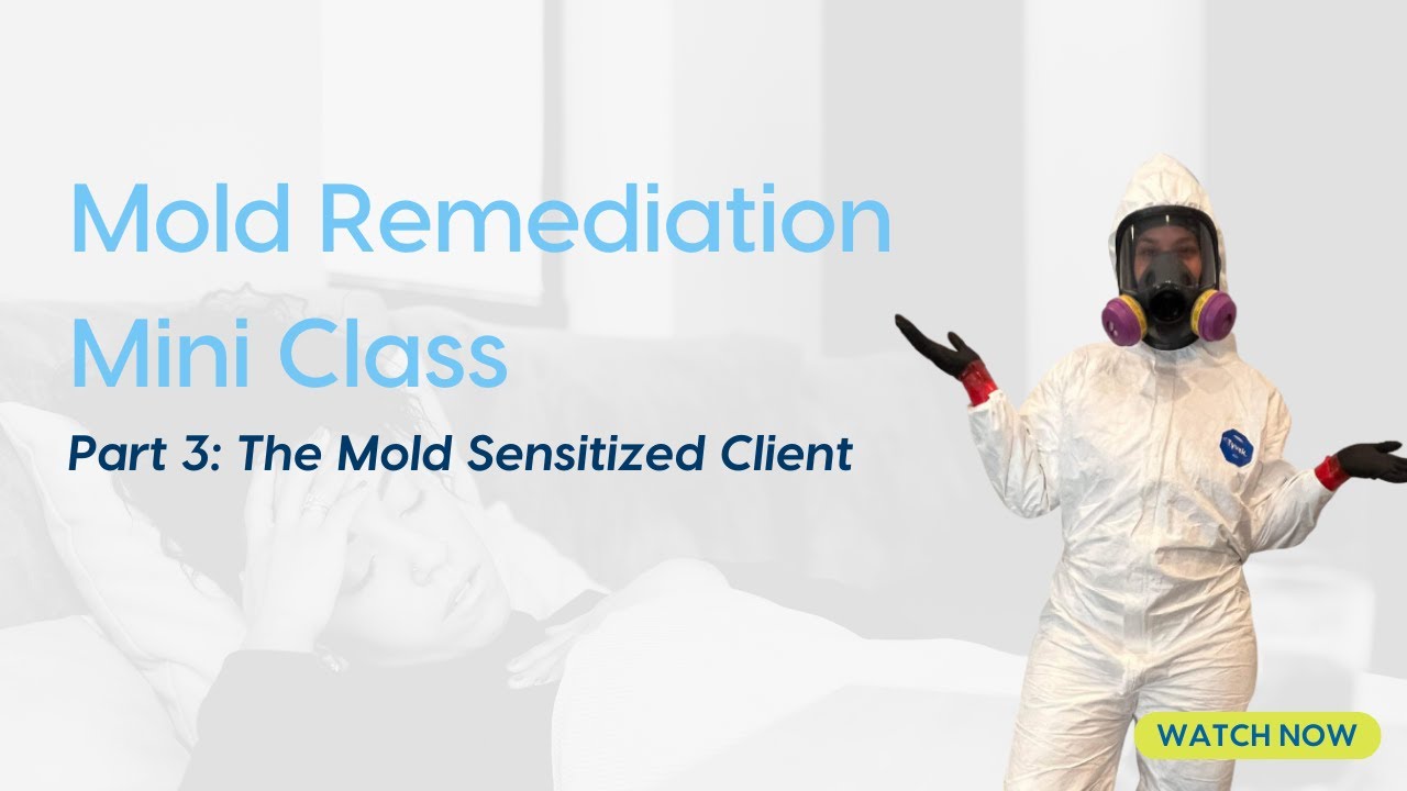 Mold Remediation Part 3: The Mold Sensitized Client - YouTube