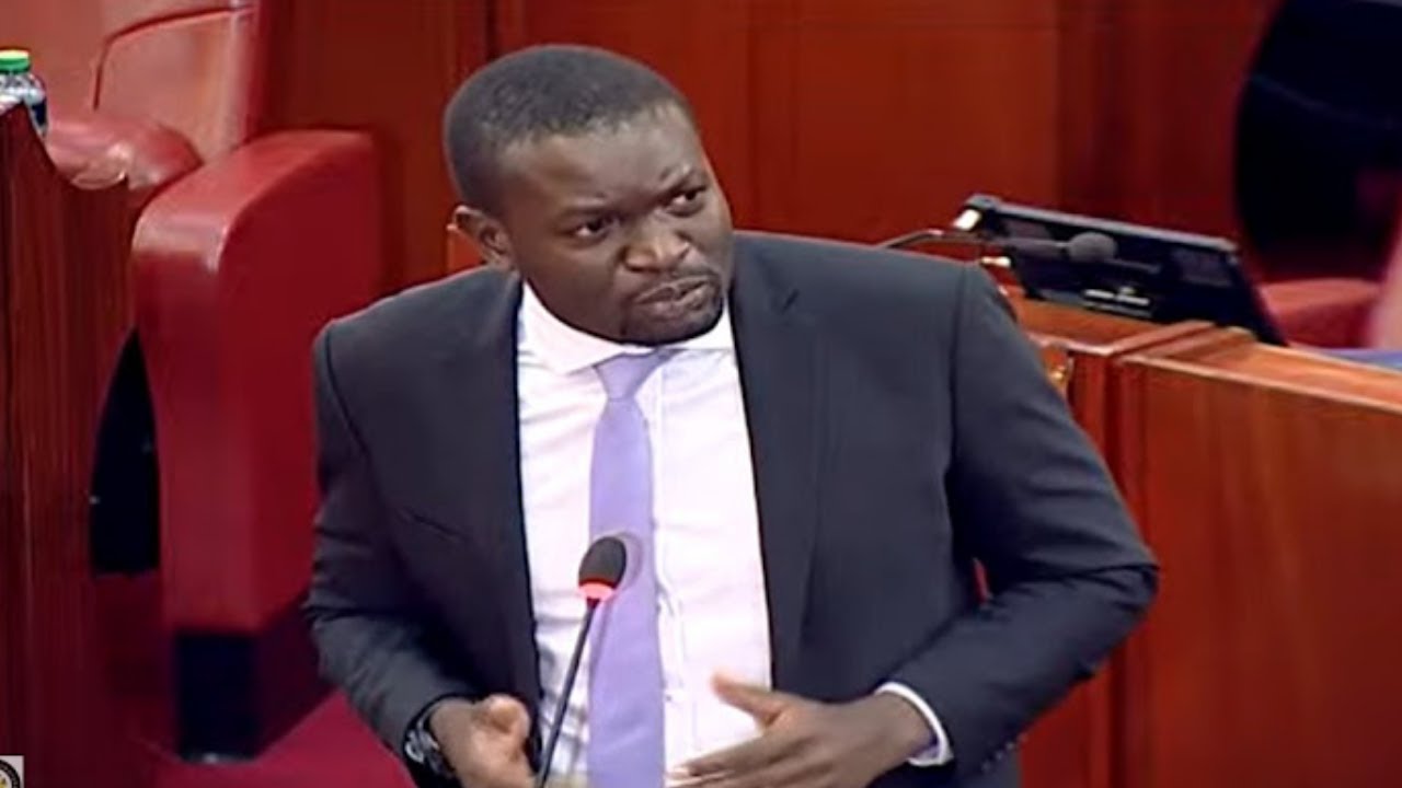 SENATOR SIFUNA ANALEMEA UDA SENATORS KWA DEBATE ~REACTIONS AFTER HEATED ...