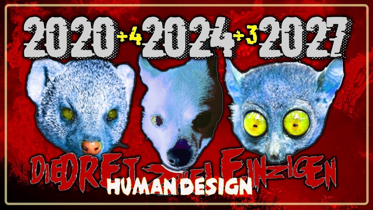 Phoenix Human Design - YouTube