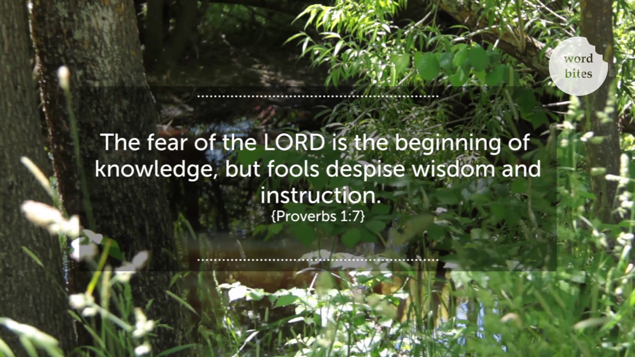 Proverbs 1 7 Why Is The Fear Of The Lord The Beginning Of Wisdom