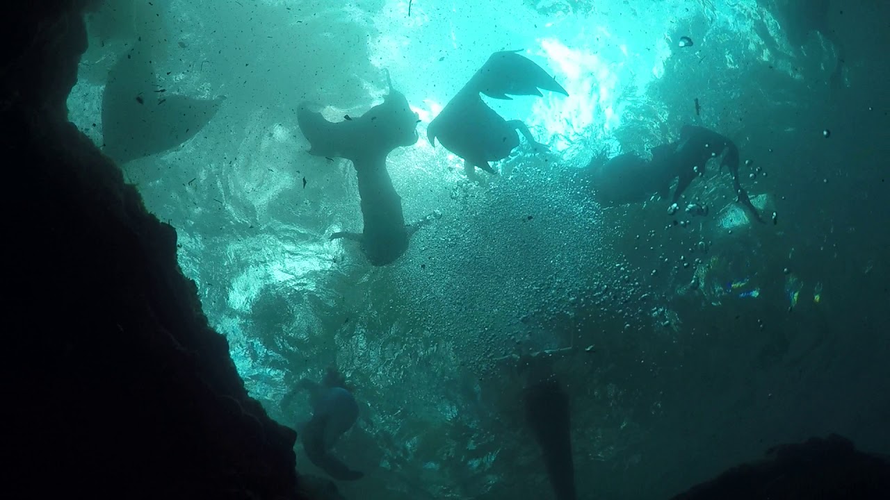 Diver trapped by Mermaids! - YouTube