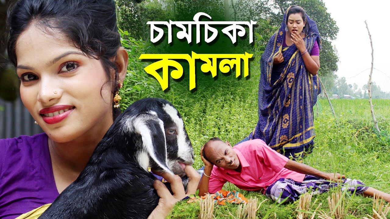 চামচিকা আইলসা কামলা | তারছেরা ভাদাইমা | Tarchera vadaima koutuk 2023 ...
