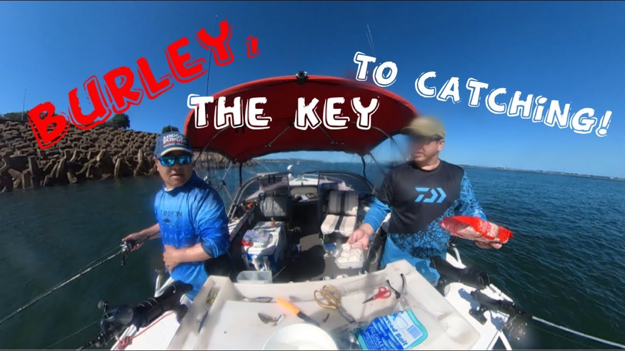 Burley, the key to catching. Botany Bay. Nice fish caught. - YouTube