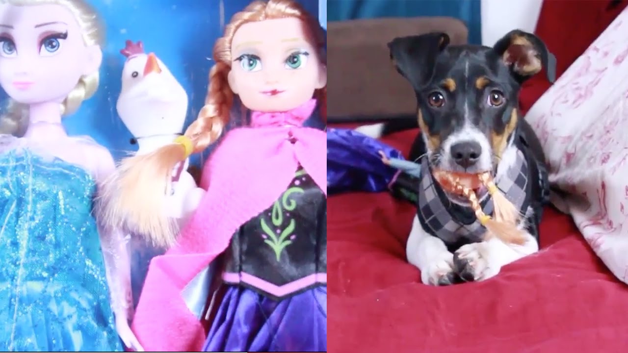 Puppy Unboxing FROZEN Anna & Elsa dolls - YouTube