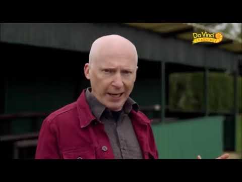 Algoritma Belgeseli ( Kısaltılmış Versiyon )