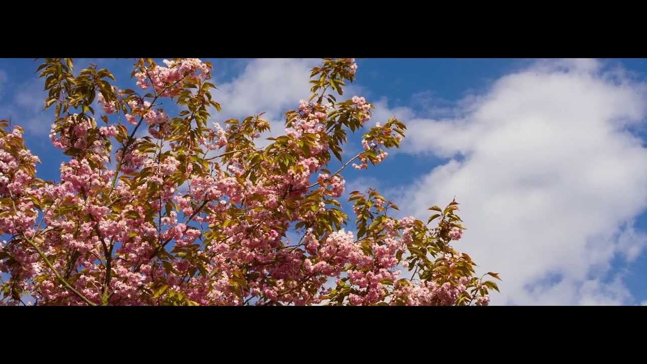 5DMKII Primary RAW tests (limited by compact flash card) - YouTube