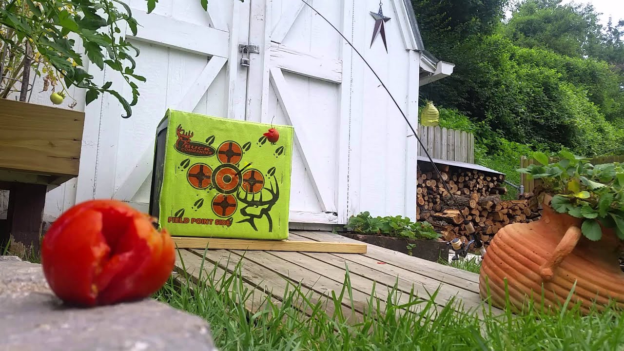Shooting tomatoes with my Alpine Nitrous bow at 25yds - YouTube