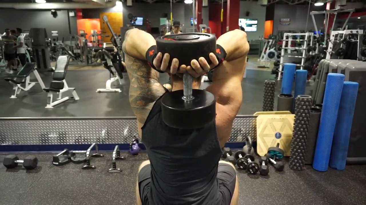 30 minutes or less 9-5 Aesthetics Triceps/Abs - YouTube