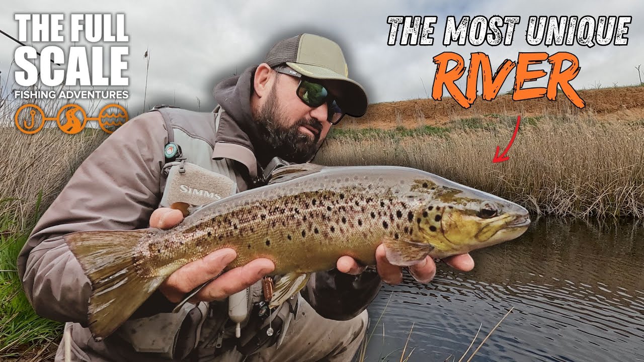 Fly Fishing Australia's Most Unique Trout River | The Full Scale - YouTube