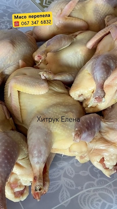 Купить Мясо перепела ORGANIC Техасский мясной перепел Хитрук Елена ...