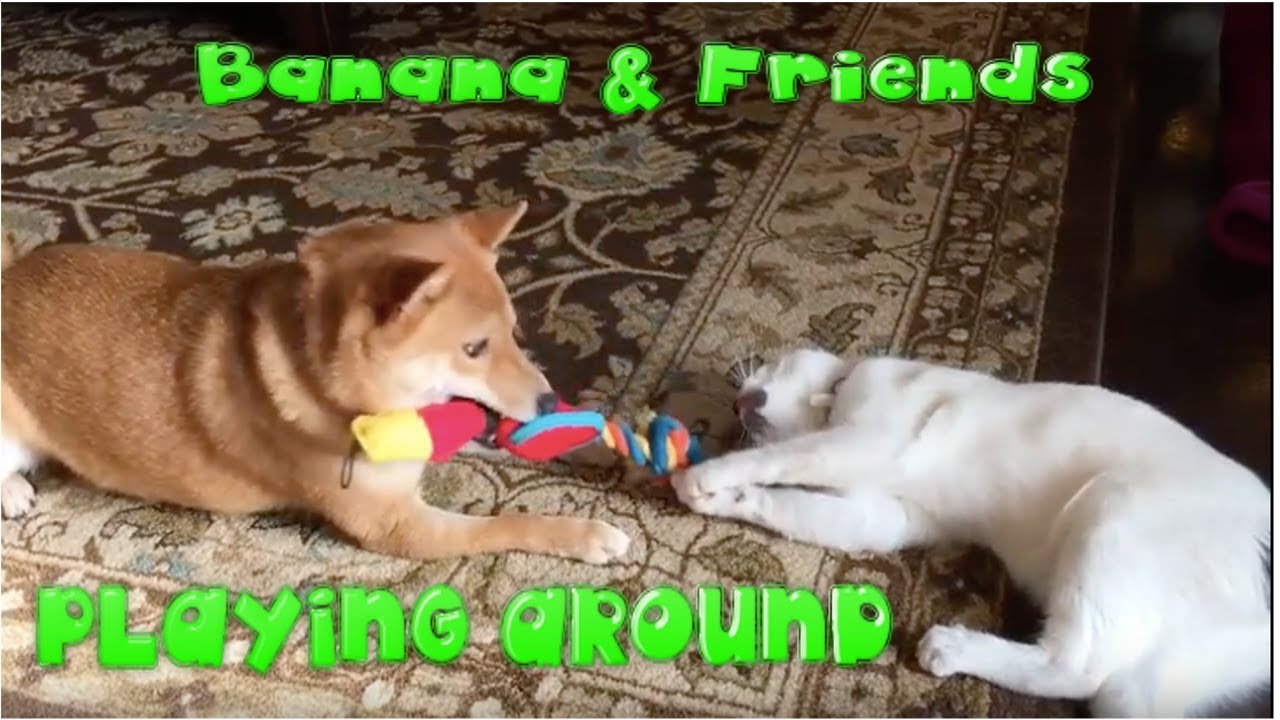 Banana & Friends - Playing Around - YouTube