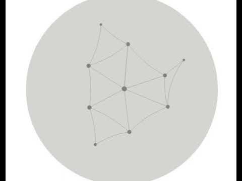 Hyperbolic Force Directed Graph Layout Explained - YouTube