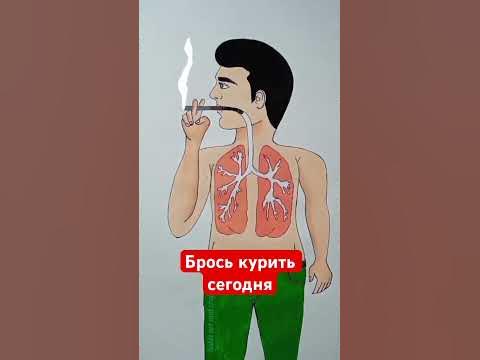 Курение вредить вашему здоровью - YouTube