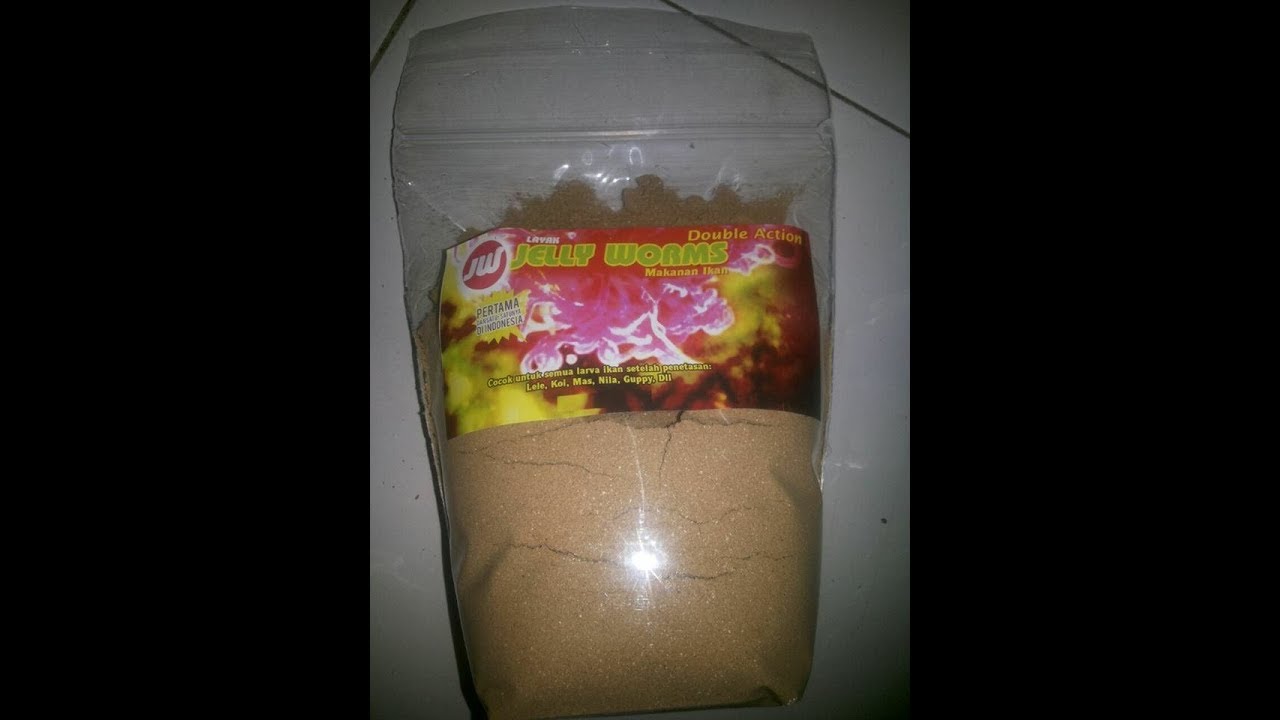 jelly worms DA (Double Action) vs cacing sutra - YouTube