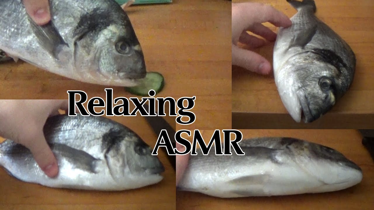 (ASMR Fish Sounds) Relaxing Slimy Floppy Sounds [Trigger Inducing ...