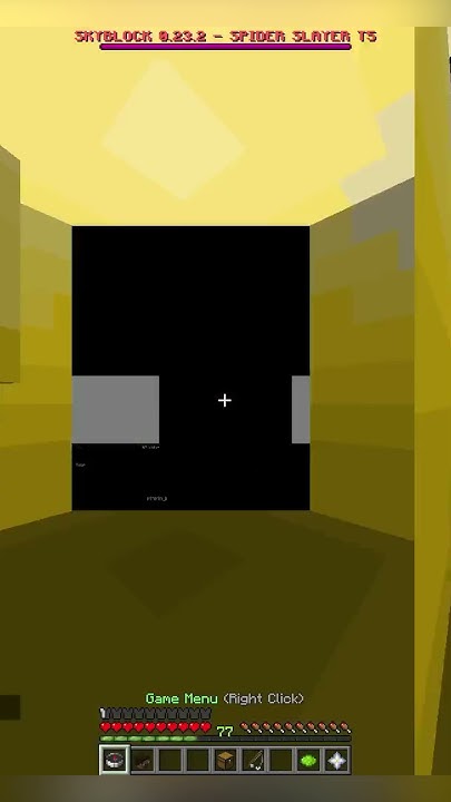 How to join Hypixel in 20 Seconds #minecraft #shorts - YouTube