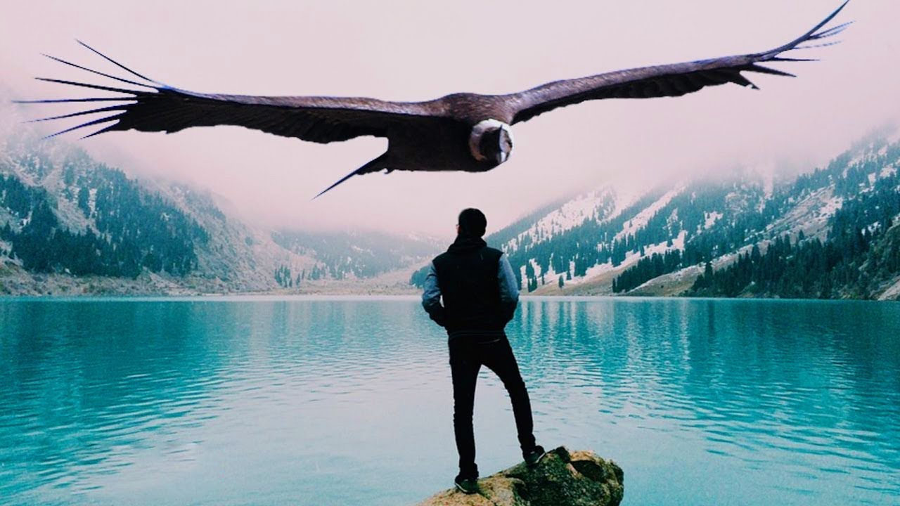 El Condor Andino, Perú. - YouTube