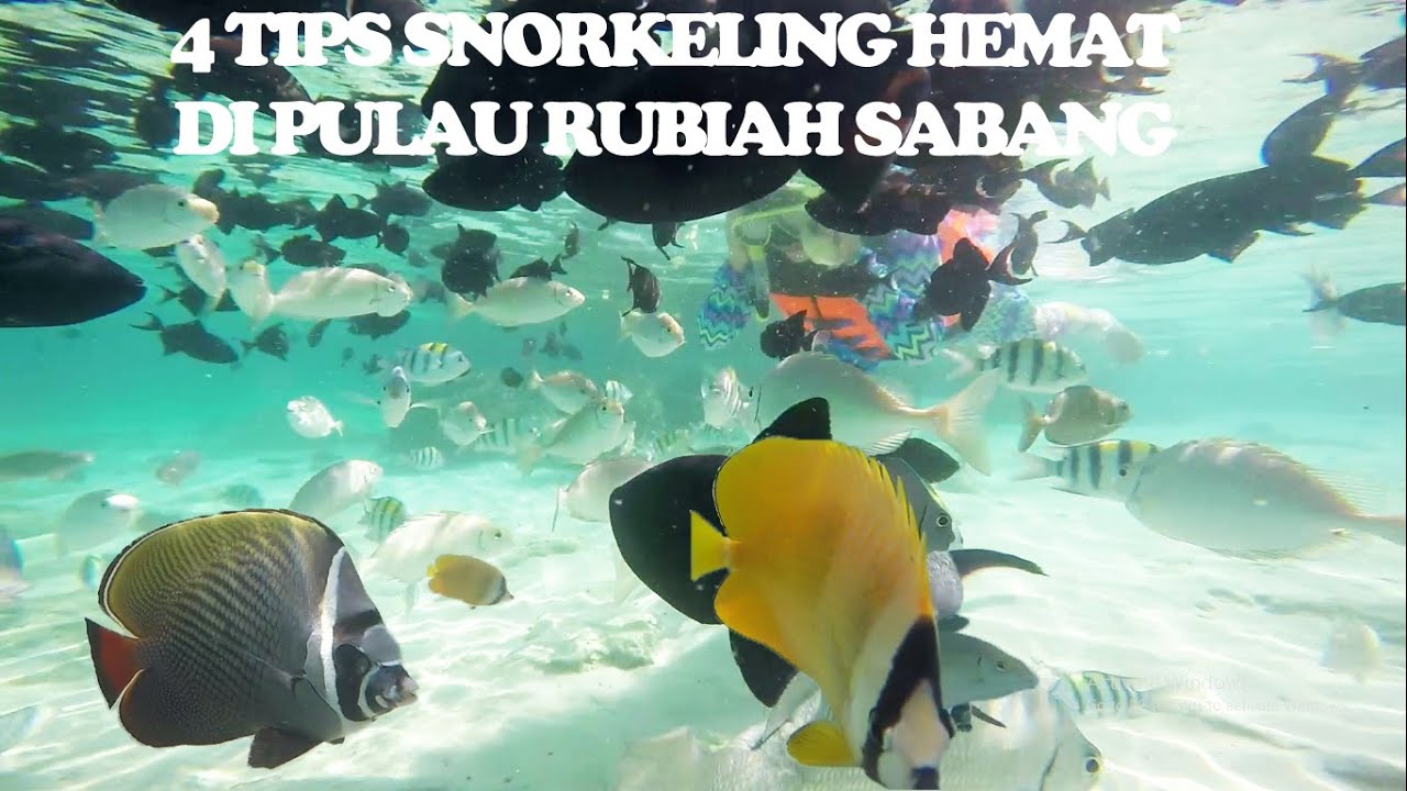BIAYA SNORKELING DI PULAU RUBIAH SABANG [ TIPS SNORKELING HEMAT DI ...