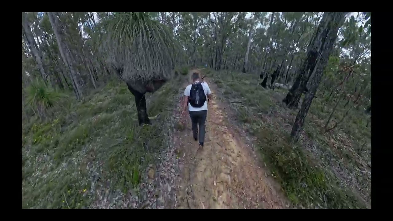 Crooked Brook - Marri Walk Trail - Dardanup 4k complete walk - YouTube